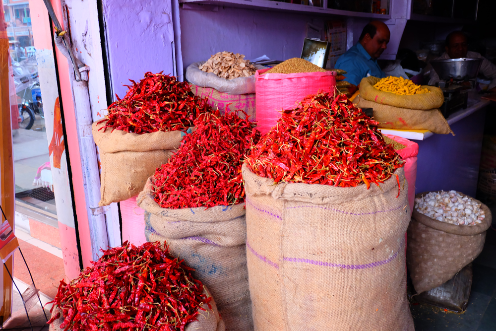 Get In My Belly: India Food Highlights - Twirl The Globe