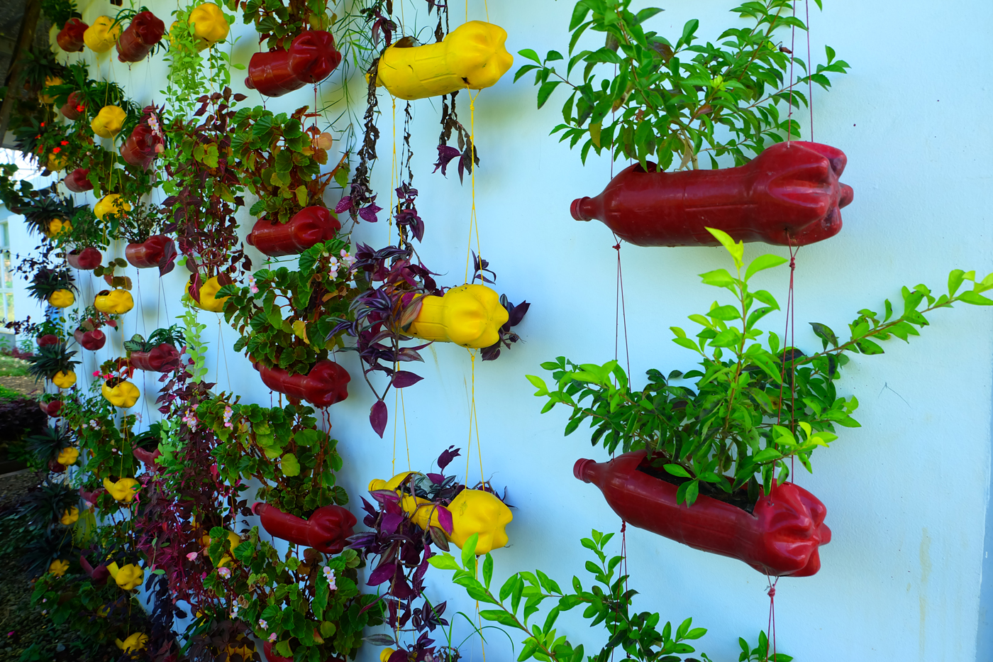 Embracing Filipino Pride & Changing Lives at GK Enchanted Farm - Twirl ...