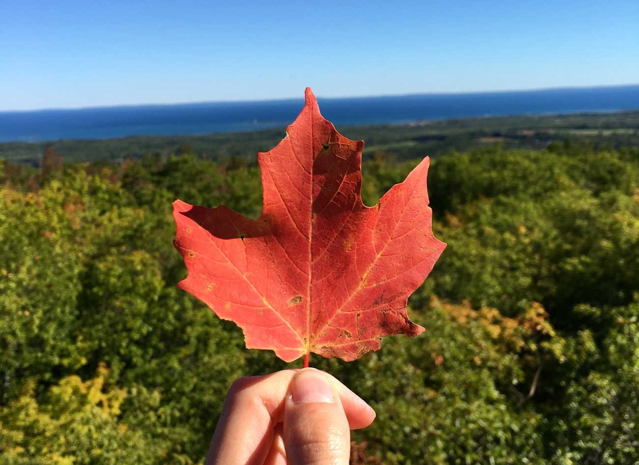 How to Spend a Weekend in Collingwood, Ontario - Twirl The Globe