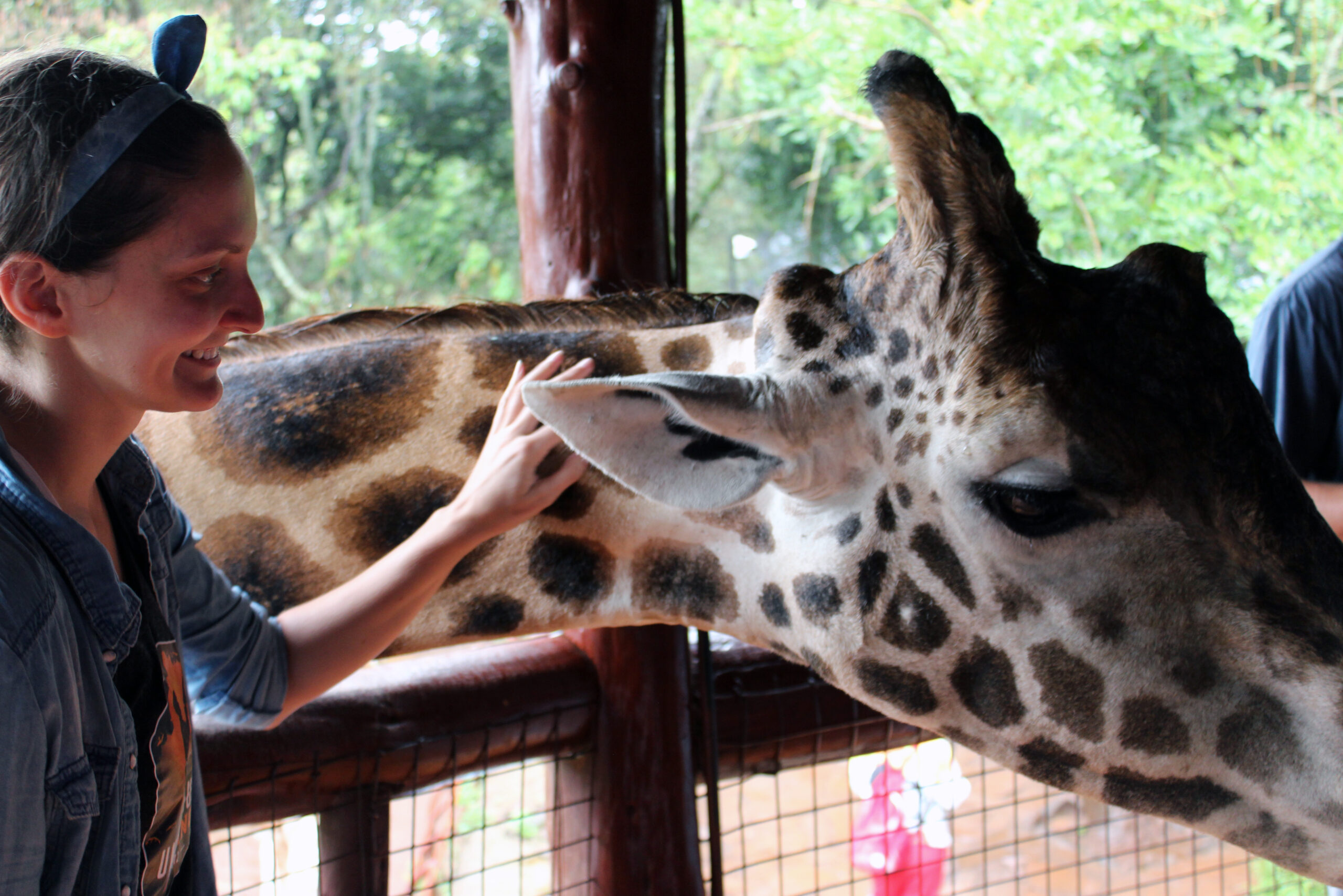 A Day with the Animals in Nairobi, Kenya - Twirl The Globe