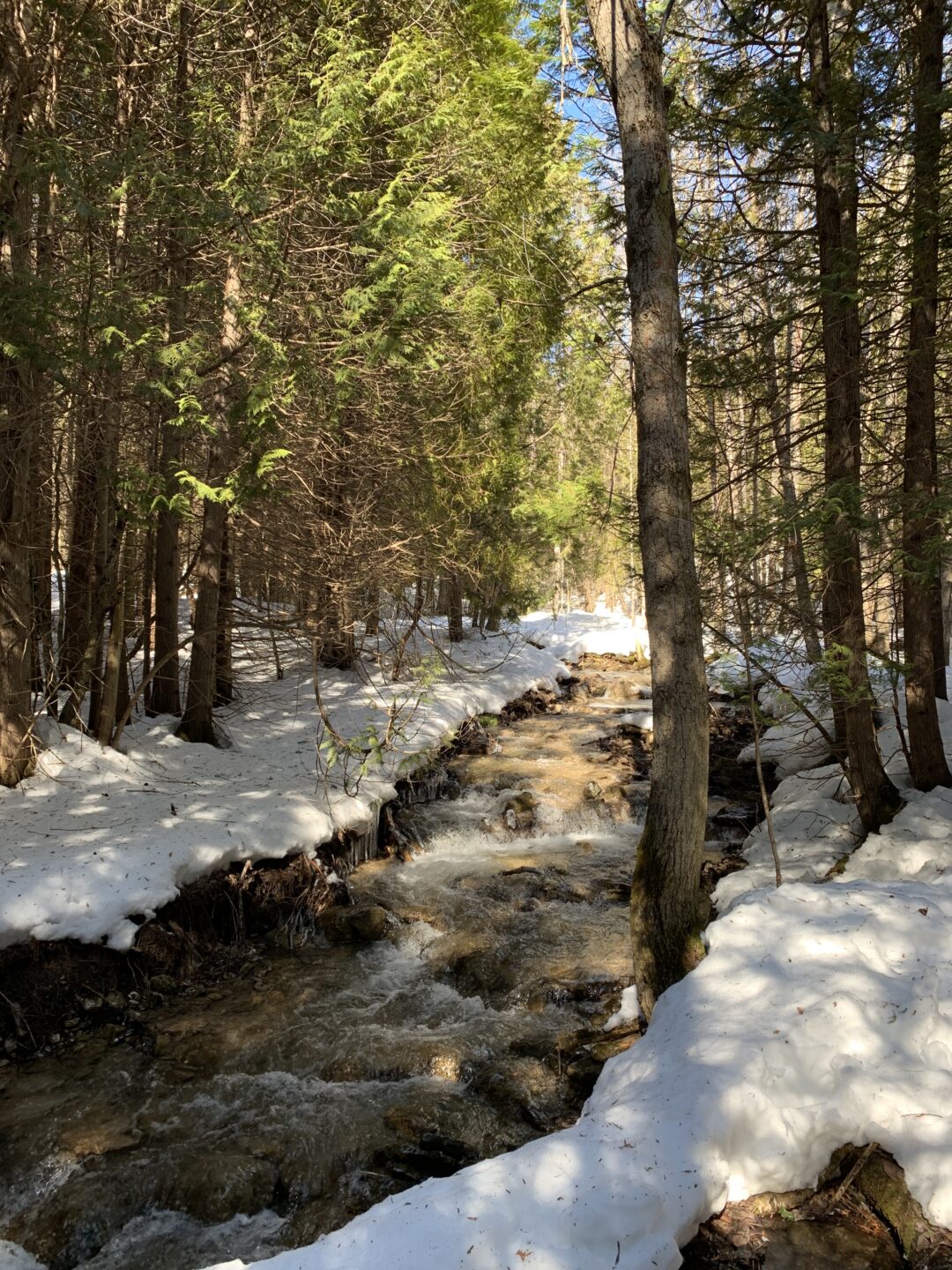 Winter Weekend in Collingwood | Twirl The Globe - Travel Blog