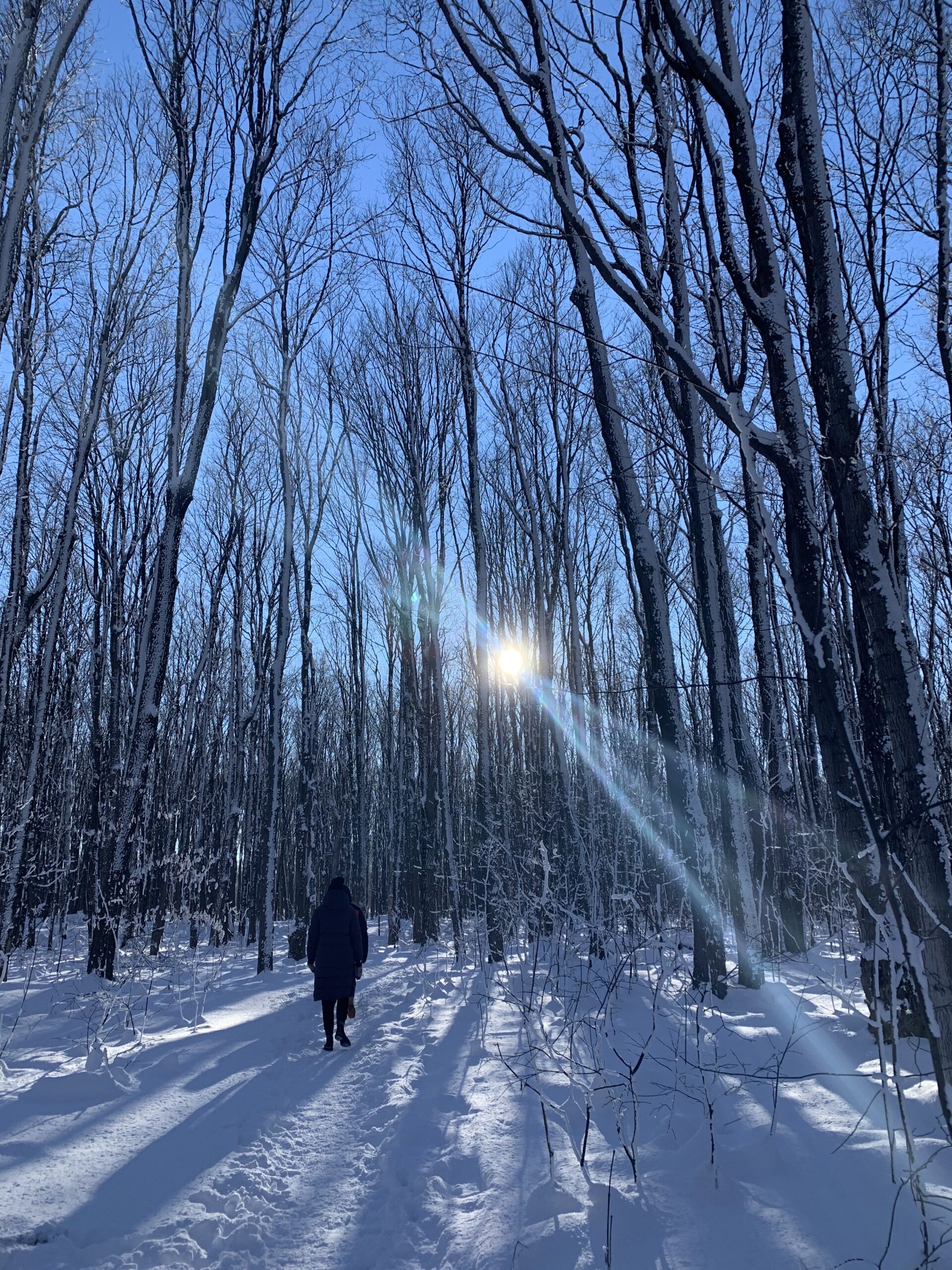 Winter Weekend in Collingwood | Twirl The Globe - Travel Blog