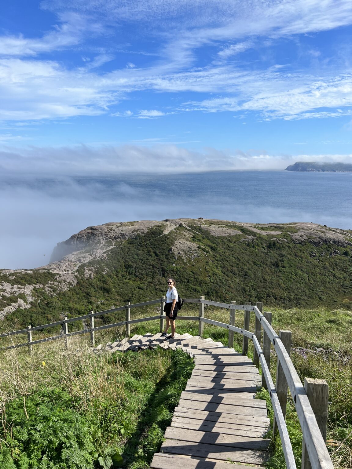 Roadtrip Itinerary: 10 Days in Newfoundland - Twirl The Globe