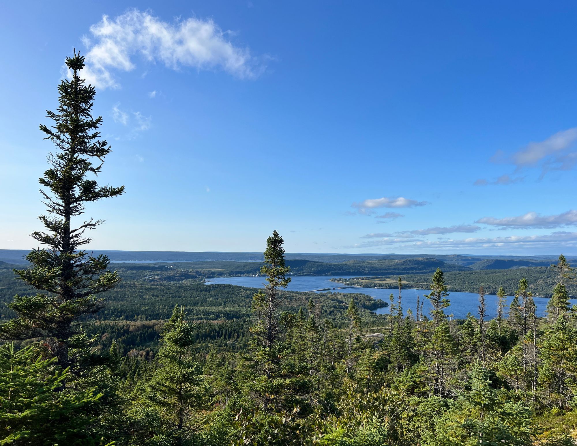 Roadtrip Itinerary: 10 Days in Newfoundland - Twirl The Globe