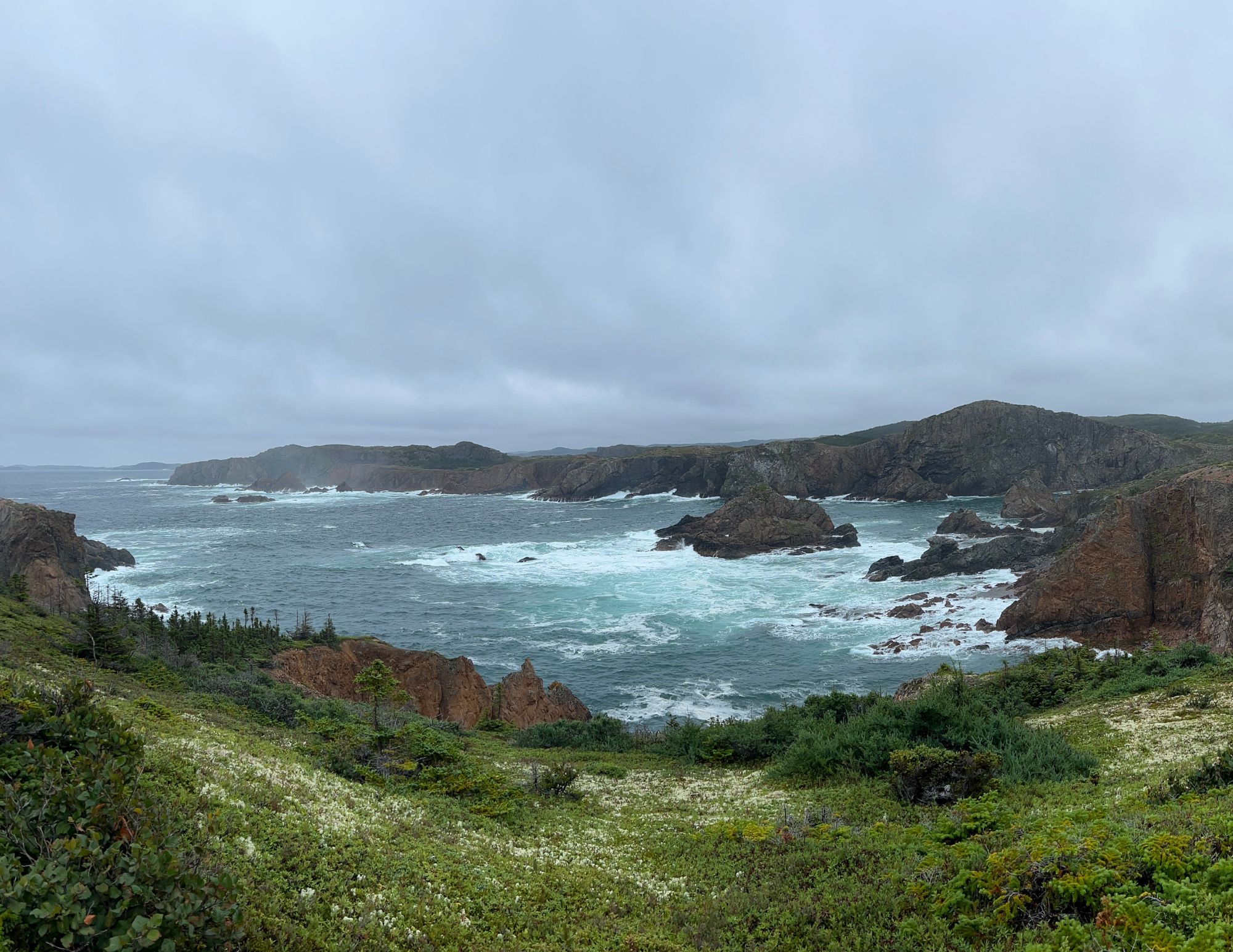 Roadtrip Itinerary: 10 Days in Newfoundland - Twirl The Globe