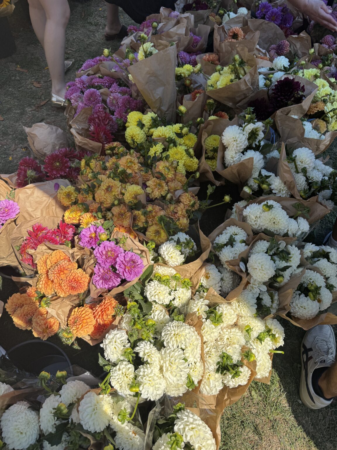 Toronto Farmers’ Markets Guide: Local Favourites & Hidden Gems